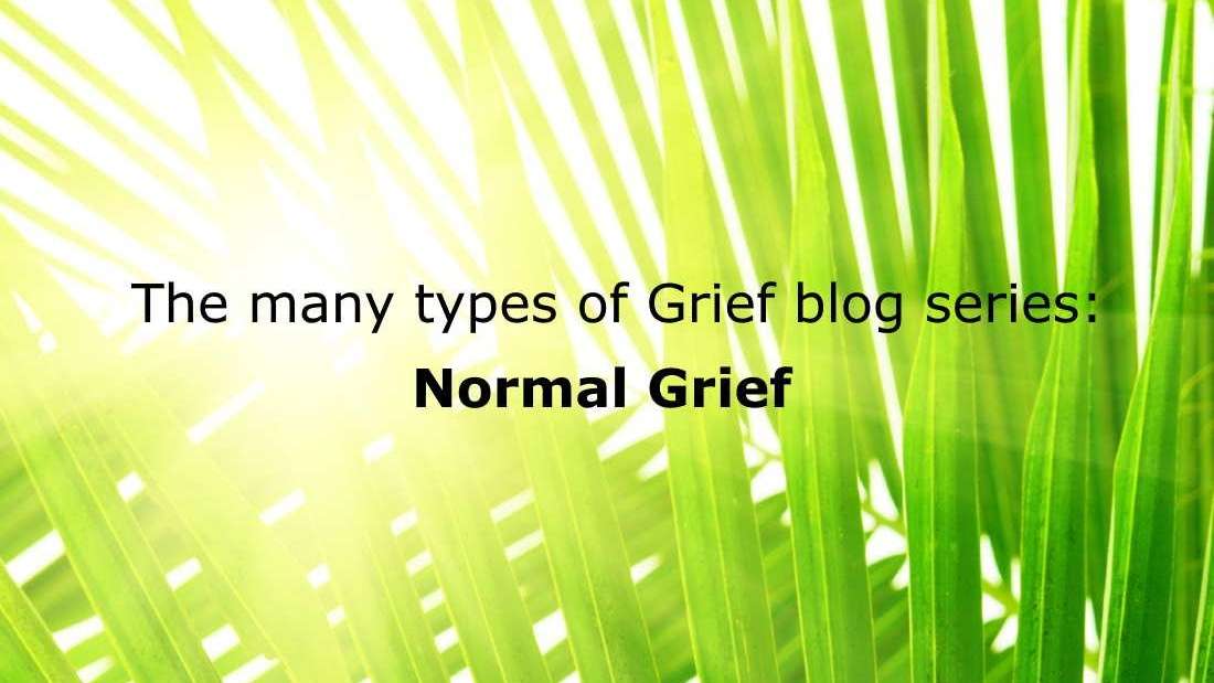 Seattle Grief Counseling | Normal Grief Stage | Therapist Seattle